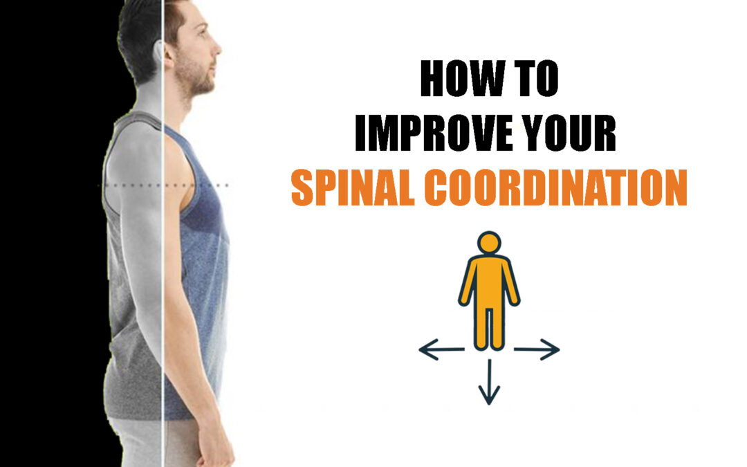 How to Improve Your Spinal Coordination - We-Fix-U Physiotherapy and ...